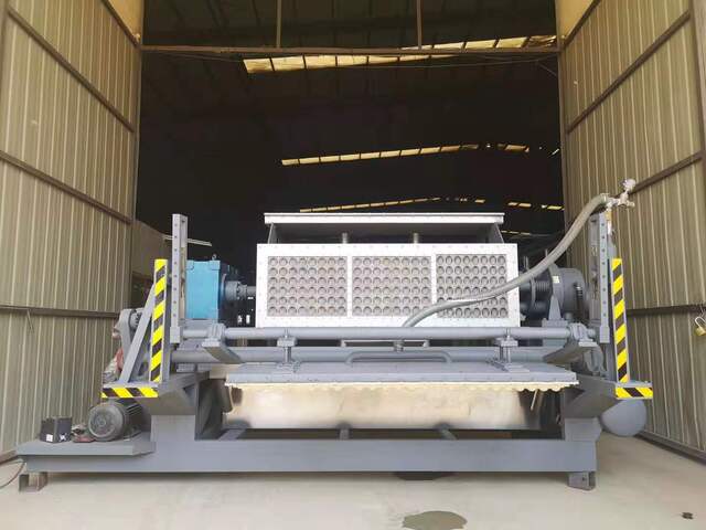 Automation Trends in Apple Tray Making Machine Technology Over the Next ...